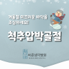 대전척추병원 바른생각병원 겨울철 낙상 사고 특히 주의하세요 척추압박골절 네이버 블로그